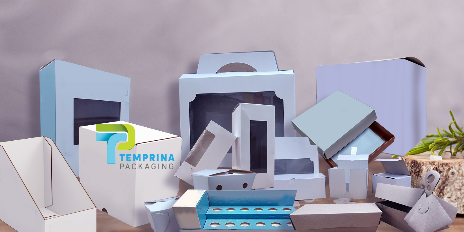 PT. Temprina Media Grafika